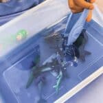 11 Baby Animals Preschool Activities That They Will Love - Bjarni Baby