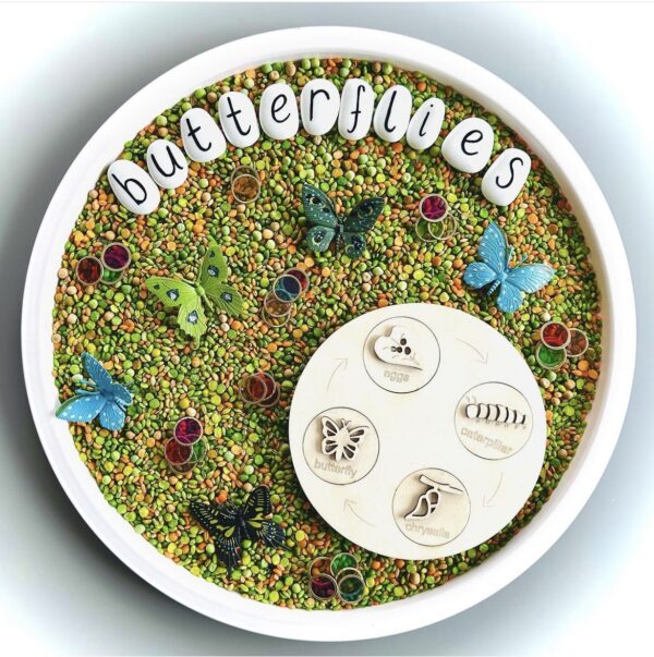 15 Fun & Educational Insect Tuff Tray Ideas For Toddlers - Bjarni Baby