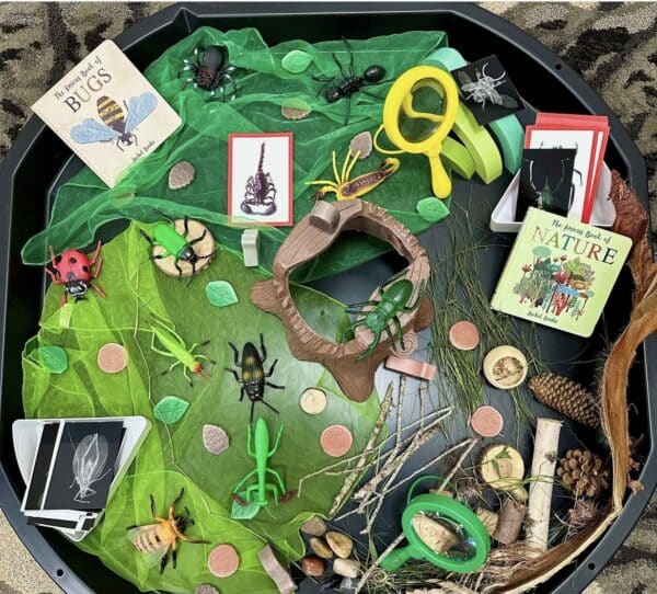 15 Fun & Educational Insect Tuff Tray Ideas For Toddlers - Bjarni Baby