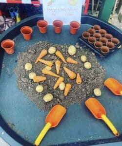 19 of The Best Harvest Tuff Tray Ideas For Toddlers - Bjarni Baby