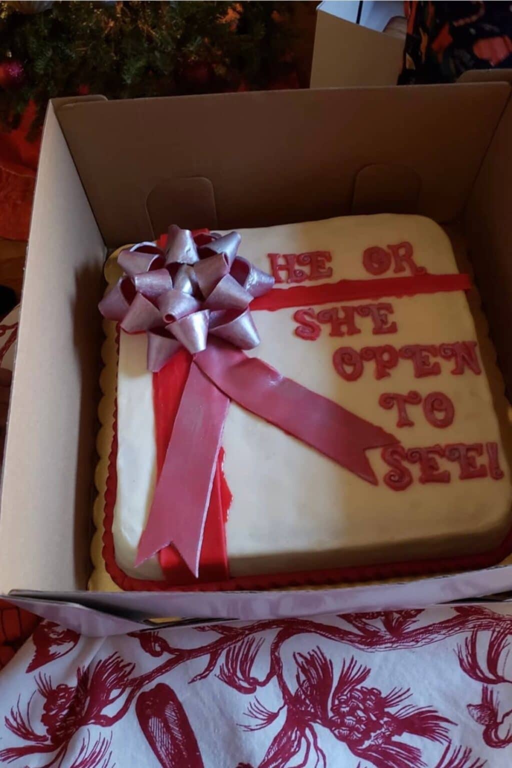 Christmas Gender Reveal Ideas Full Of Festive Spirit - Bjarni Baby