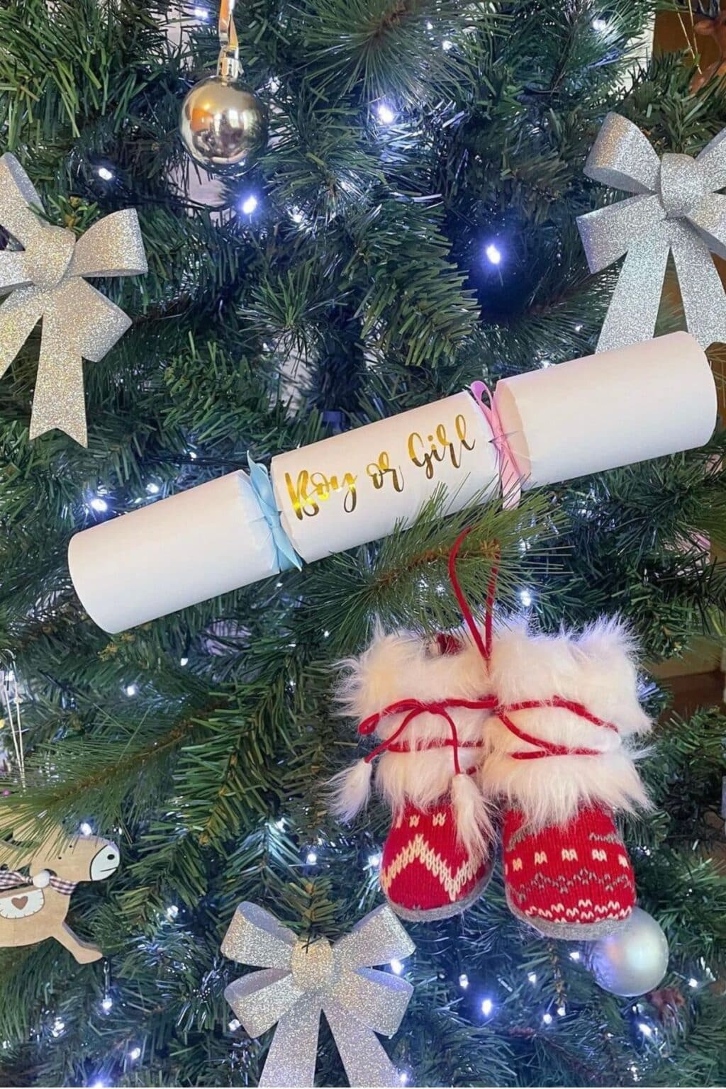 Christmas Gender Reveal Ideas Full Of Festive Spirit - Bjarni Baby