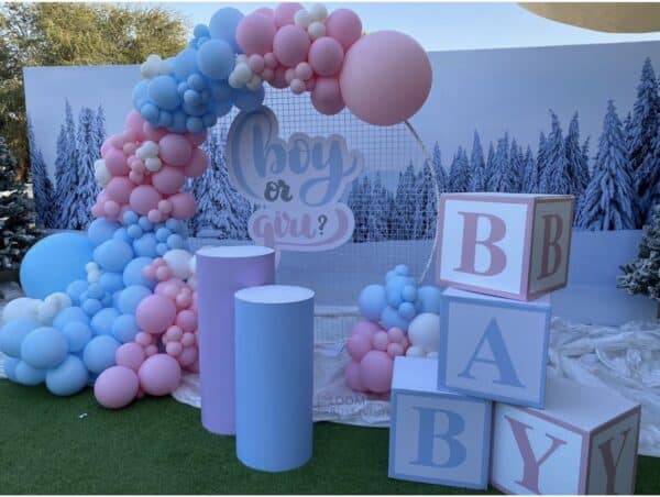 17 Cozy Winter Gender Reveal Ideas - Bjarni Baby