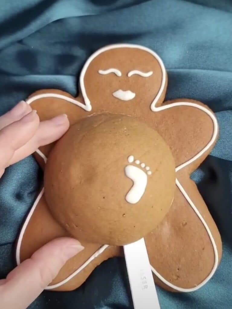 17 Cozy Winter Gender Reveal Ideas - Bjarni Baby