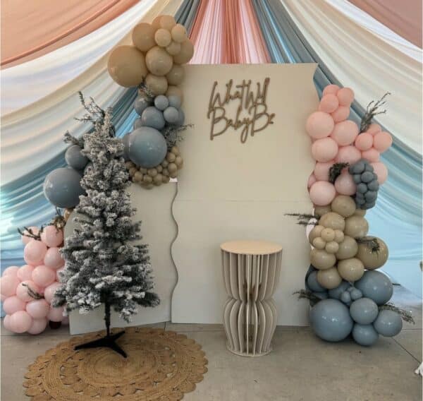 17 Cozy Winter Gender Reveal Ideas - Bjarni Baby