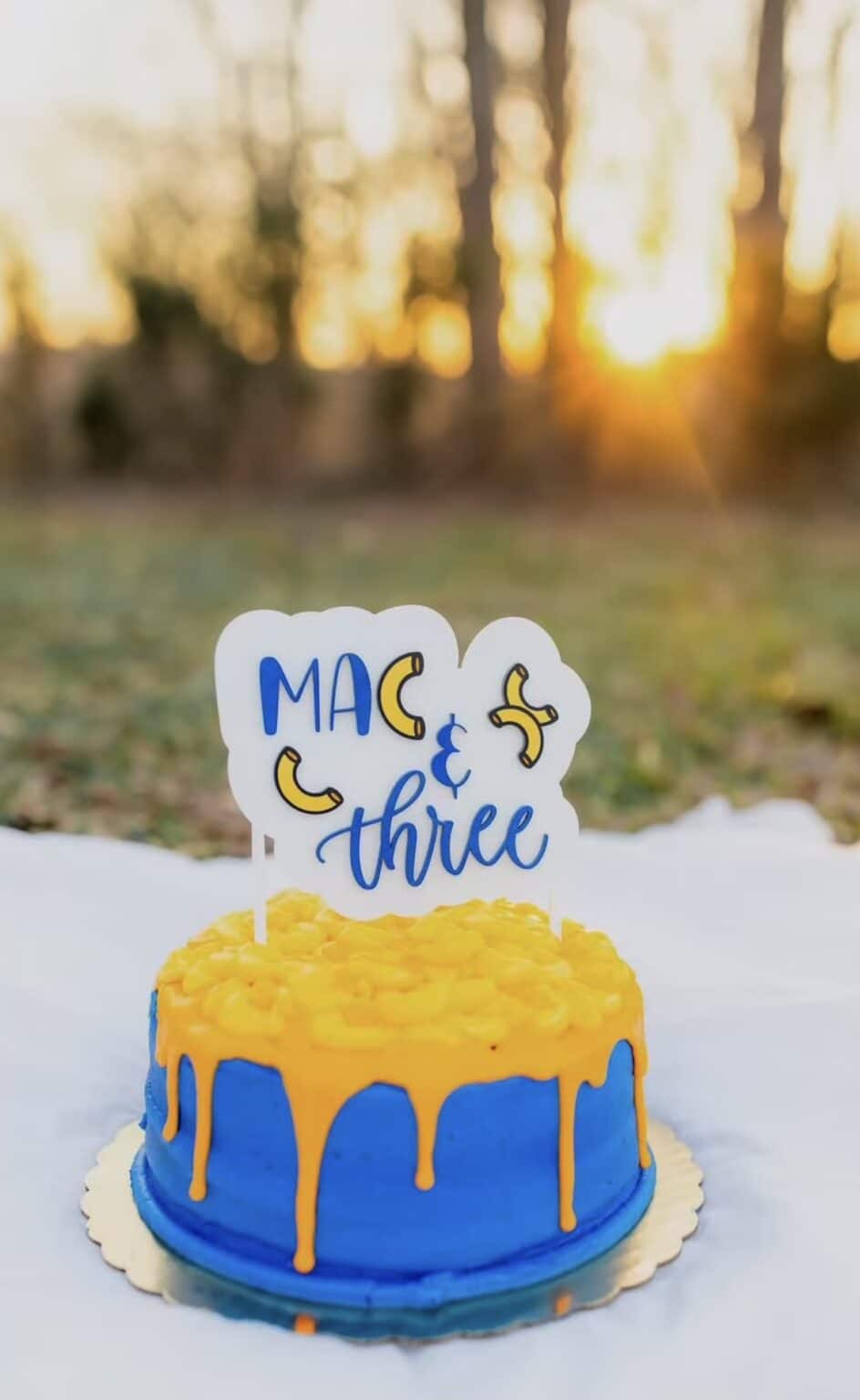 25 Adorable Three Year Old Birthday Themes They Will Love! - Bjarni Baby